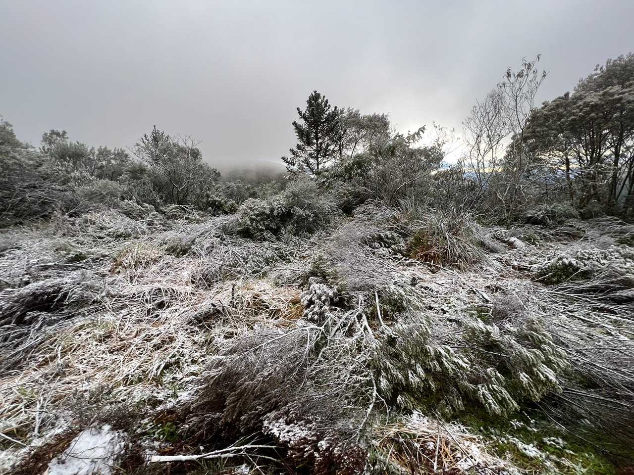 Primavera começa com registro de neve em SC; veja imagens e vídeos ...